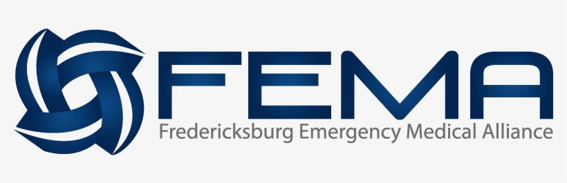 It Company Logo Design For Fema In United States - California - Free ...