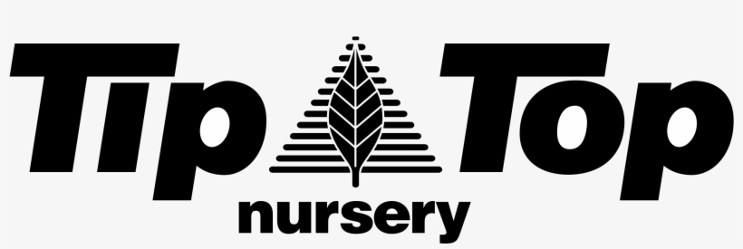 Tip Top Logo Png Transparent - Tip Top - Free Transparent PNG Download ...