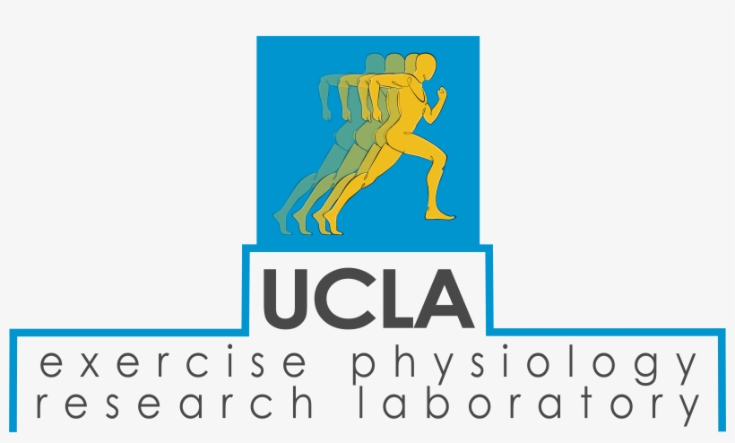 Ucla Logo Png - Free Transparent PNG Download - PNGkey