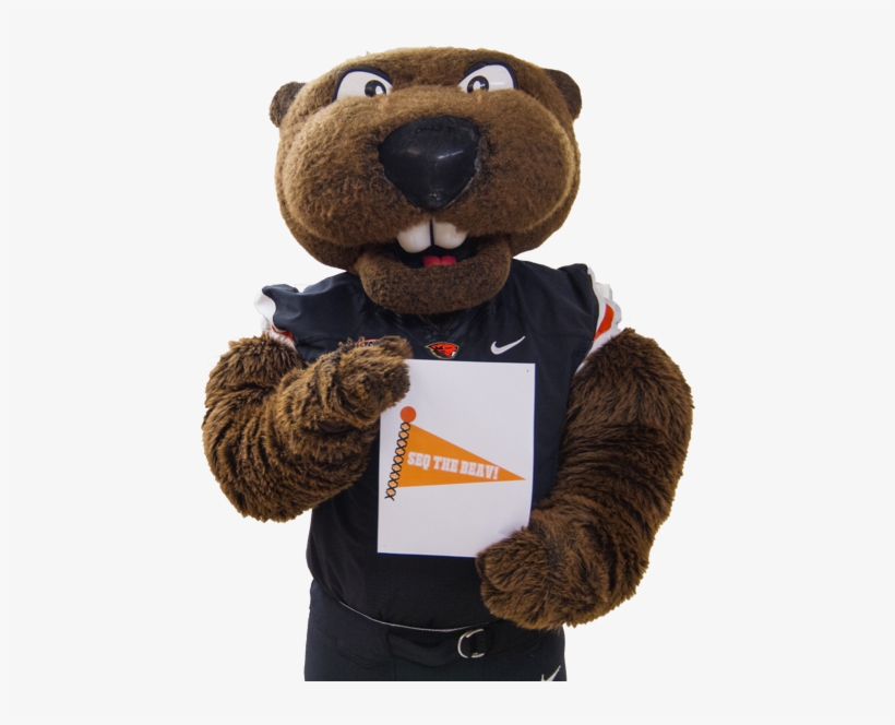 Osu Sports Mascot Benny The Beaver - Benny The Beaver Png - Free ...