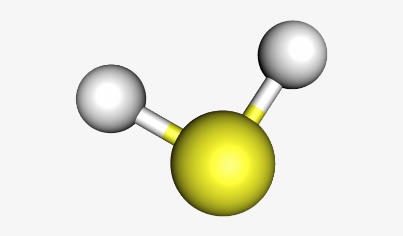 Oregon - Free Transparent PNG Download - PNGkey