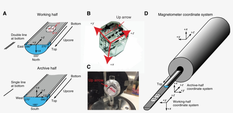 The Coordinate - Cube - Free Transparent PNG Download - PNGkey