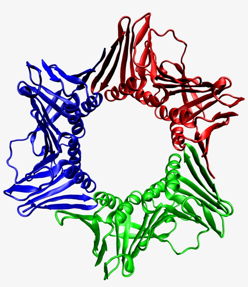 1axc Tricolor - Proteina Pcna - Free Transparent PNG Download - PNGkey