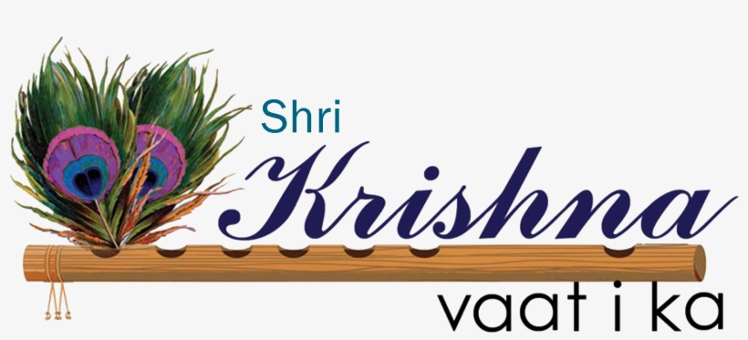 Shri Krishna Vaatika - 3drose Db_37447_1 Large Colorful Peacock Feather ...