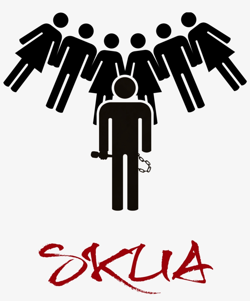 Skua - Twitter - Free Transparent PNG Download - PNGkey