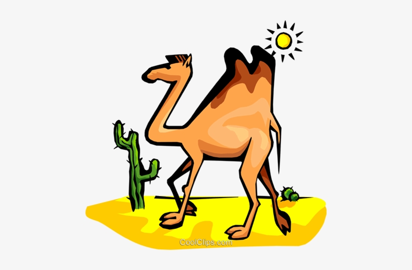 Camel Royalty Free Vector Clip Art Illustration - Adaptive Features Of ...