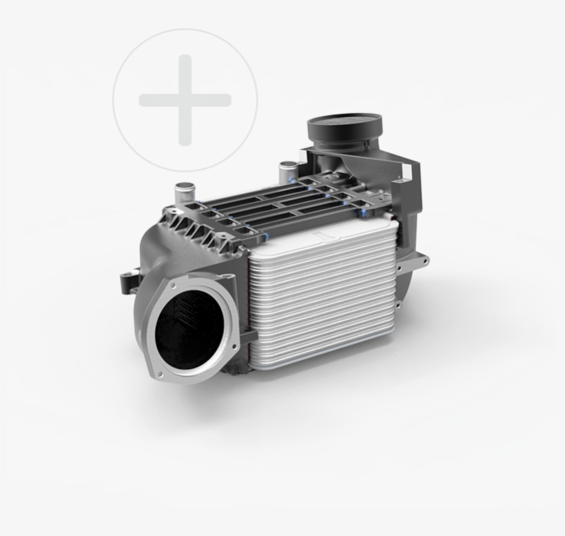 Washington Catholic Athletic Conference - Free Transparent PNG Download ...