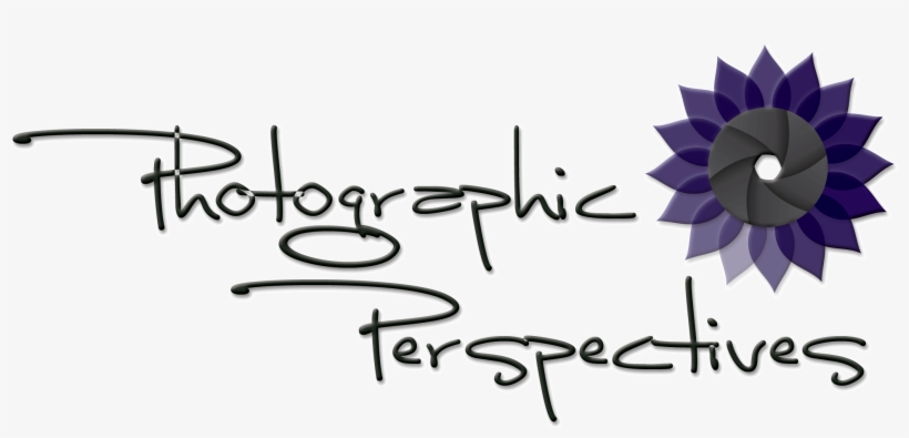 Photographic Perspectives - Autoshapes Examples - Free Transparent PNG ...