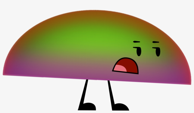 Turtle Shell - Turtle - Free Transparent PNG Download - PNGkey