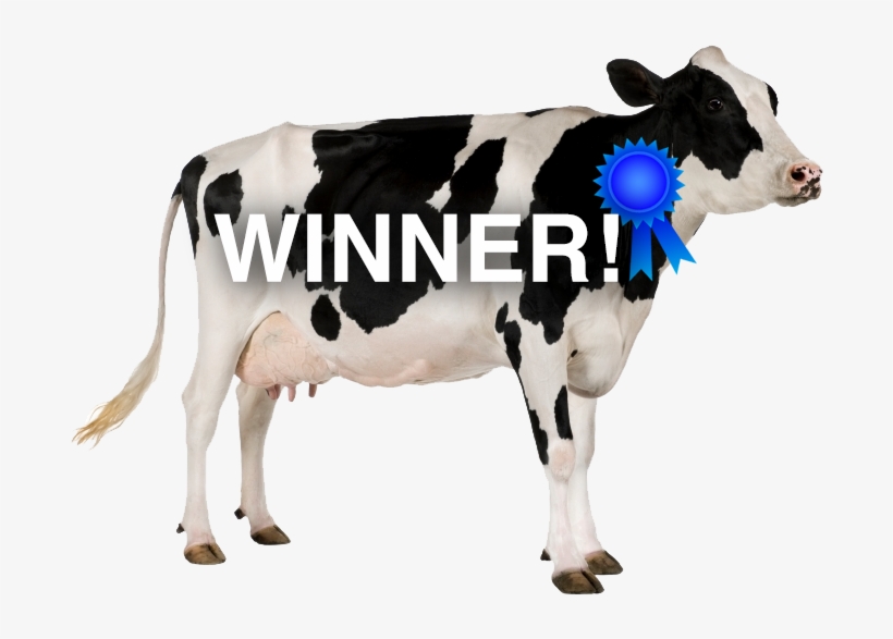 Baby Touch And Feel Farm Animals By Dk - Free Transparent PNG Download ...