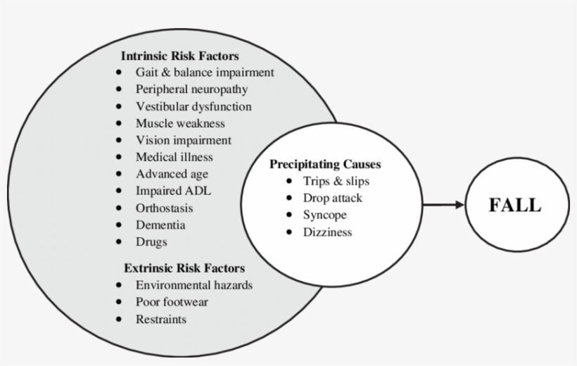 The Multifactorial And Interacting Causes Of Falls - Science - Free ...