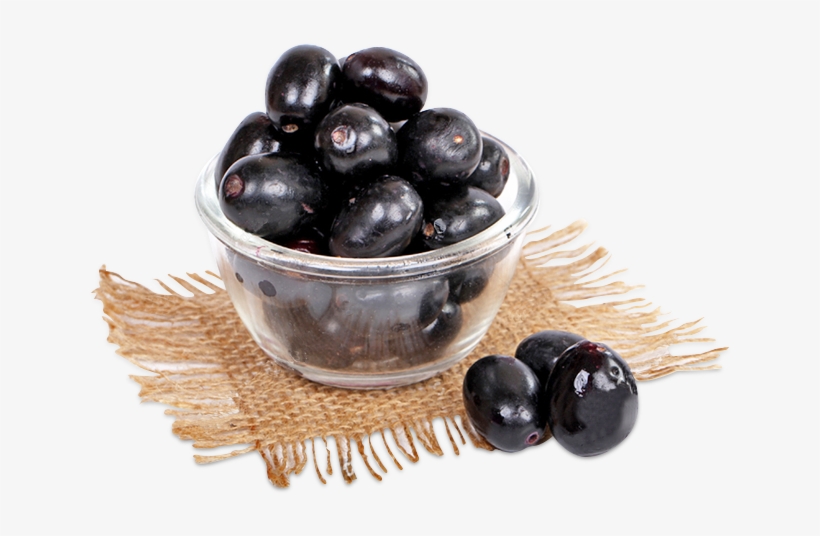 Jamun - Jamun Fruit Vector - Free Transparent PNG Download - PNGkey