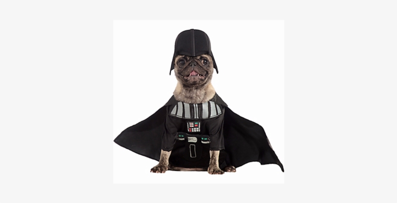 Darth Dog - Darth Vader Dog Costume - Free Transparent PNG Download ...