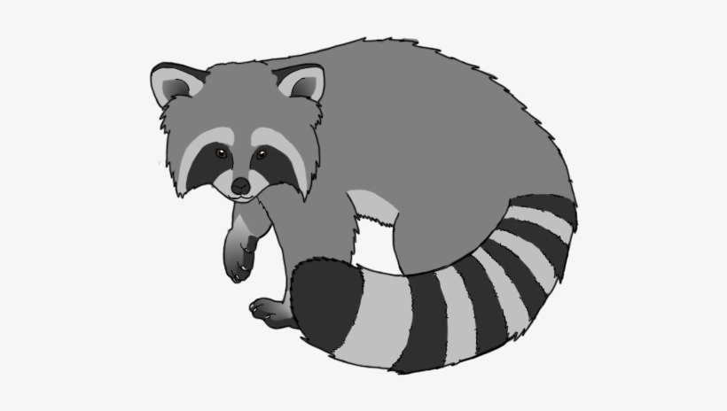 Now I Think The Red Panda And Tanuki Go Especially - Cartoon Racconpng ...