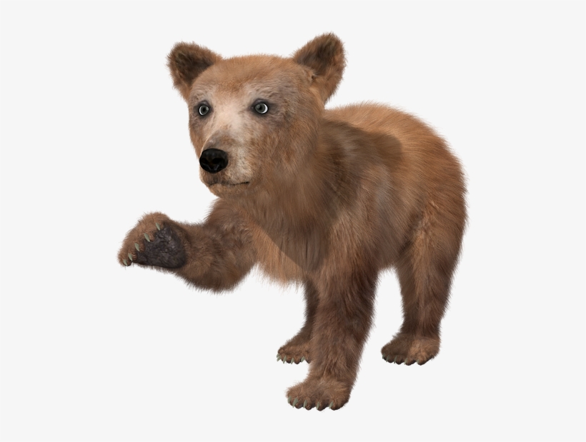 Bear Png High-quality Image - Bear Cub Transparent Background - Free ...
