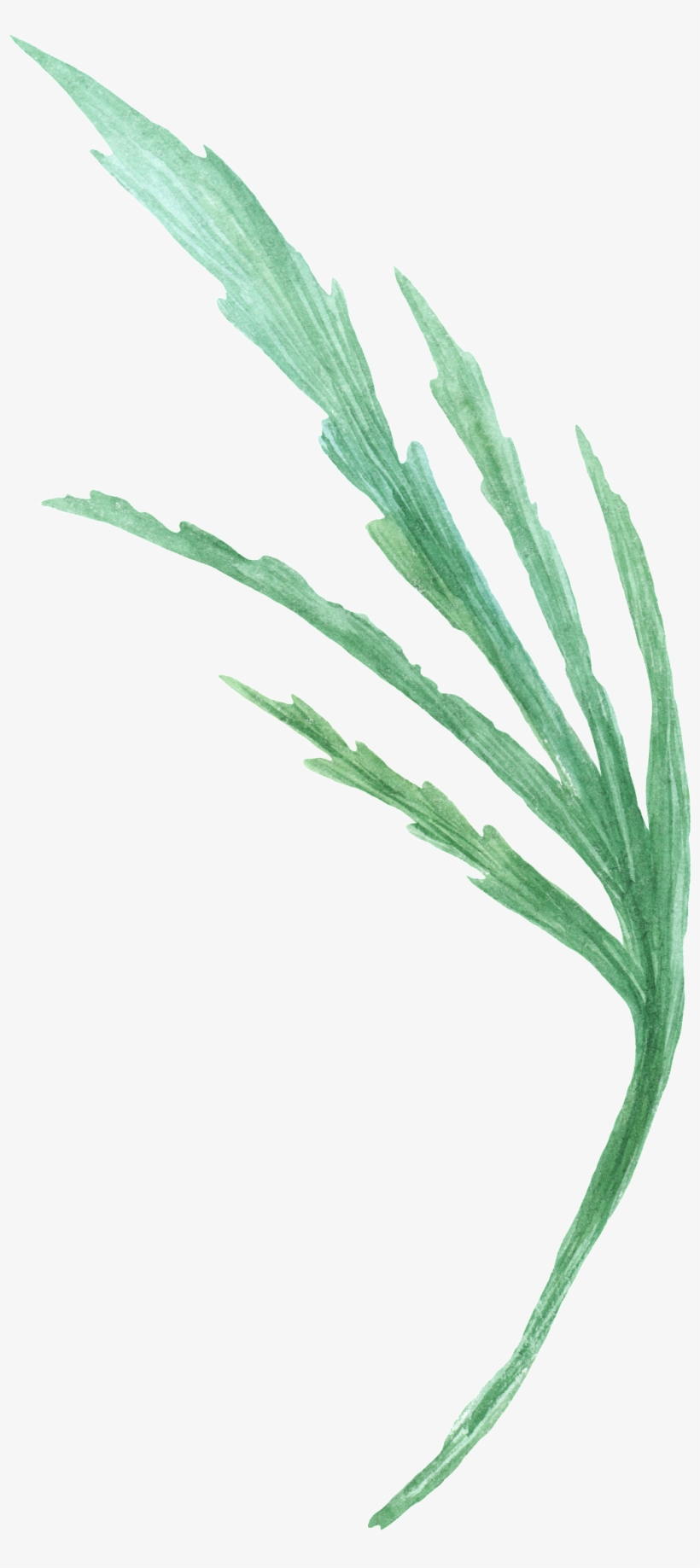 Green Foliage Transparent Decorative - Portable Network Graphics - Free ...