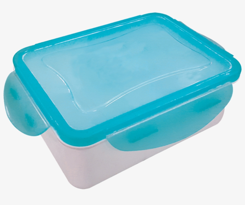 Lunch Box Blue - Sterling New Horizons Private Limited - Free ...