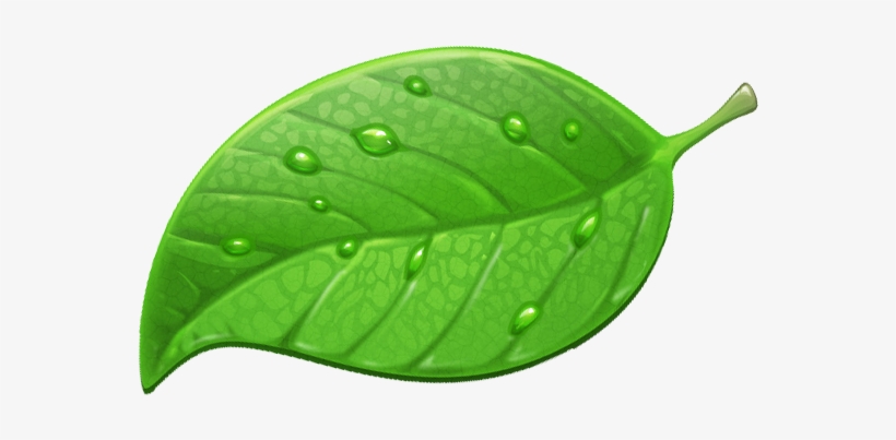 Leaf - Pan Leaf Logo Png - Free Transparent PNG Download - PNGkey