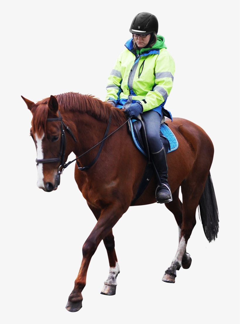 Horse Riding Png Image - Horse Riding Transparent Png - Free ...