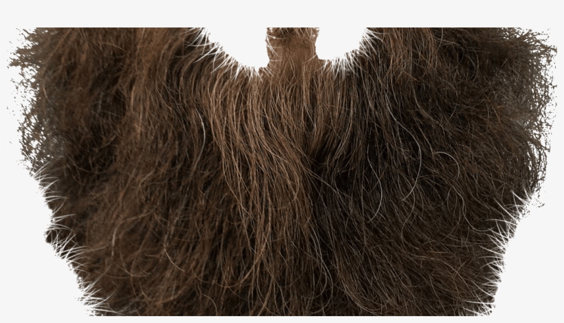 Transparent Long Beard