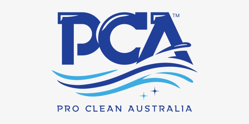 Pca Primary Logo Light Background Png Format - Portable Network ...