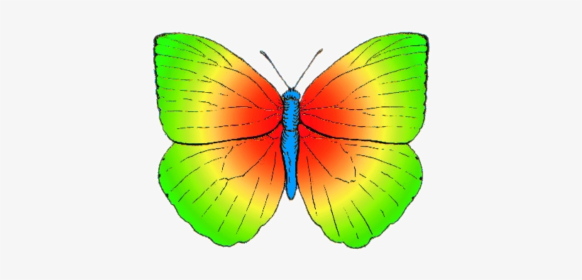 Rainbow Butterfly Png