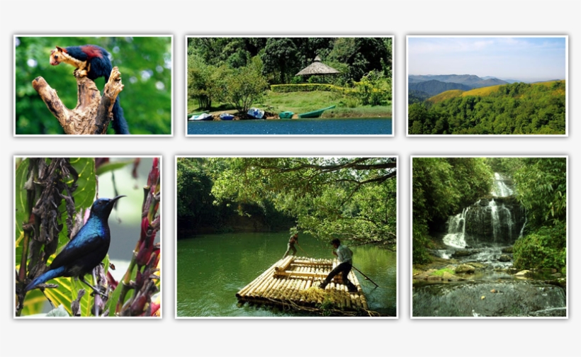 Gavi - Tourist Place In Kerala Gavi - Free Transparent PNG Download ...