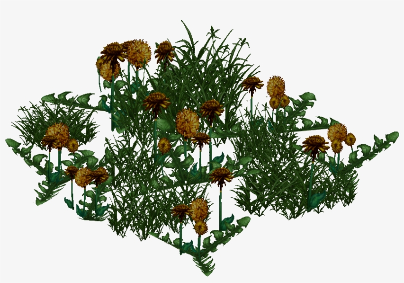 Aztec Marigold - Bouquet - Free Transparent PNG Download - PNGkey