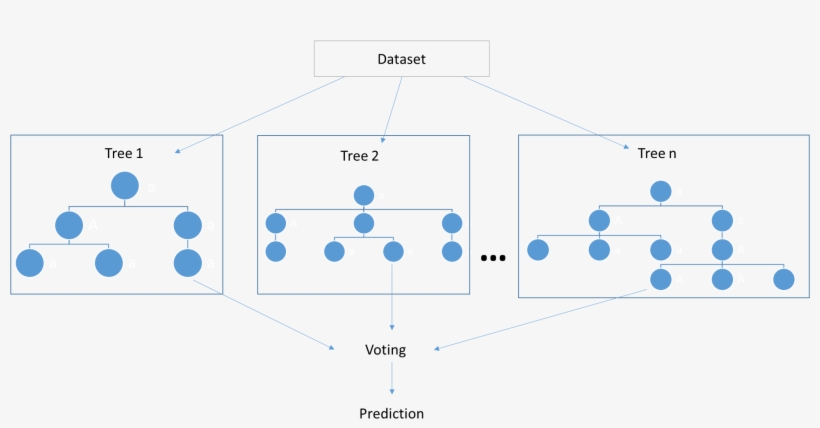 Random Forests - Diagram - Free Transparent PNG Download - PNGkey