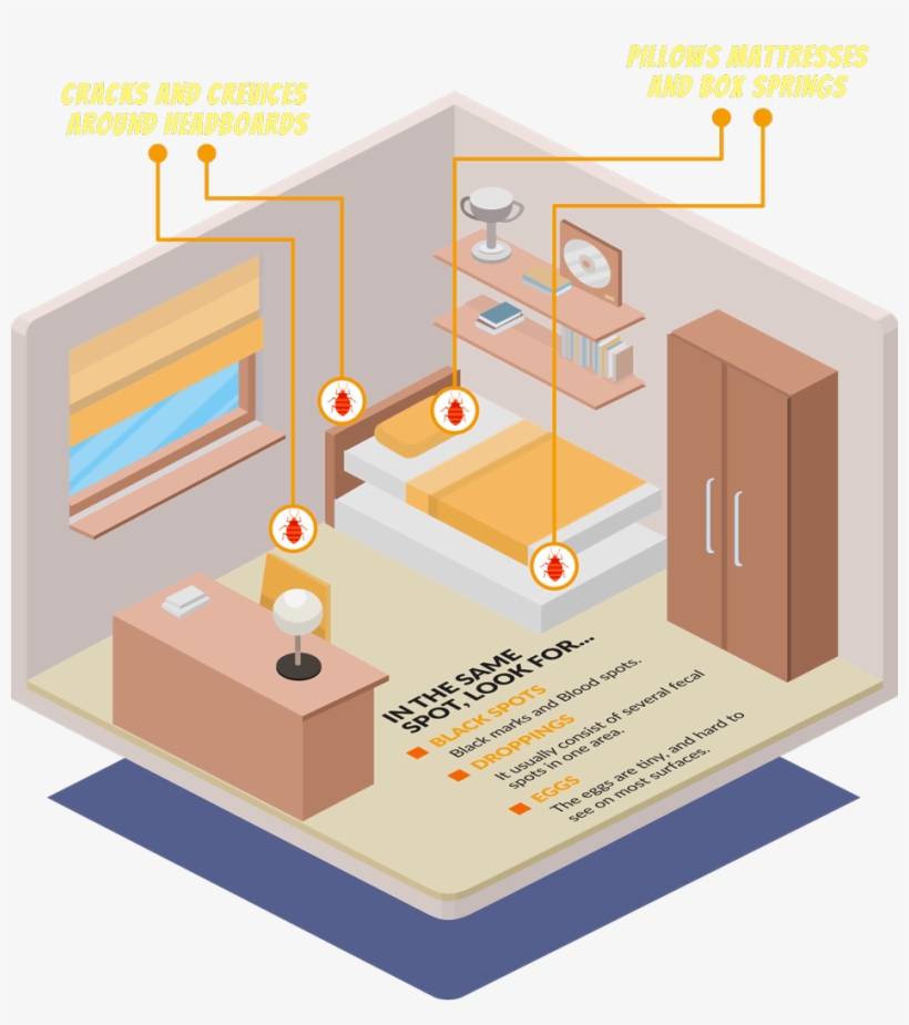 Room@2x - Bedroom - Free Transparent PNG Download - PNGkey