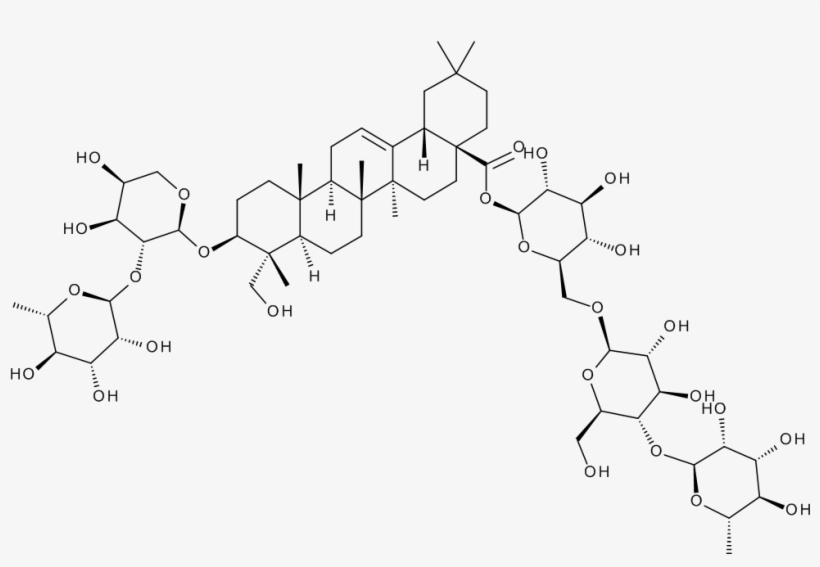 Ivy Leaf Dry Extract Hrs - Diagram - Free Transparent PNG Download - PNGkey