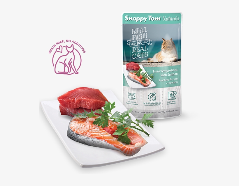 Cat Food - Free Transparent PNG Download - PNGkey