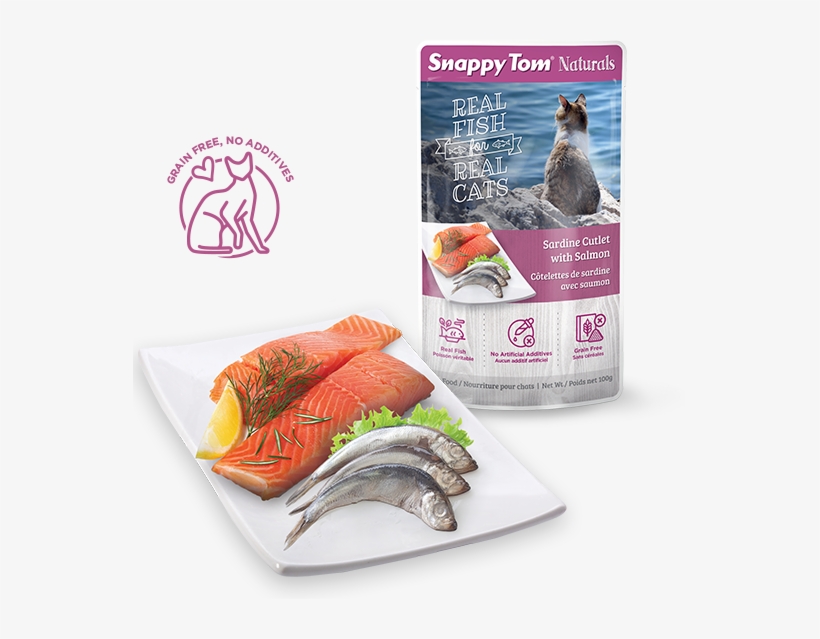 Snappy Tom - Free Transparent PNG Download - PNGkey