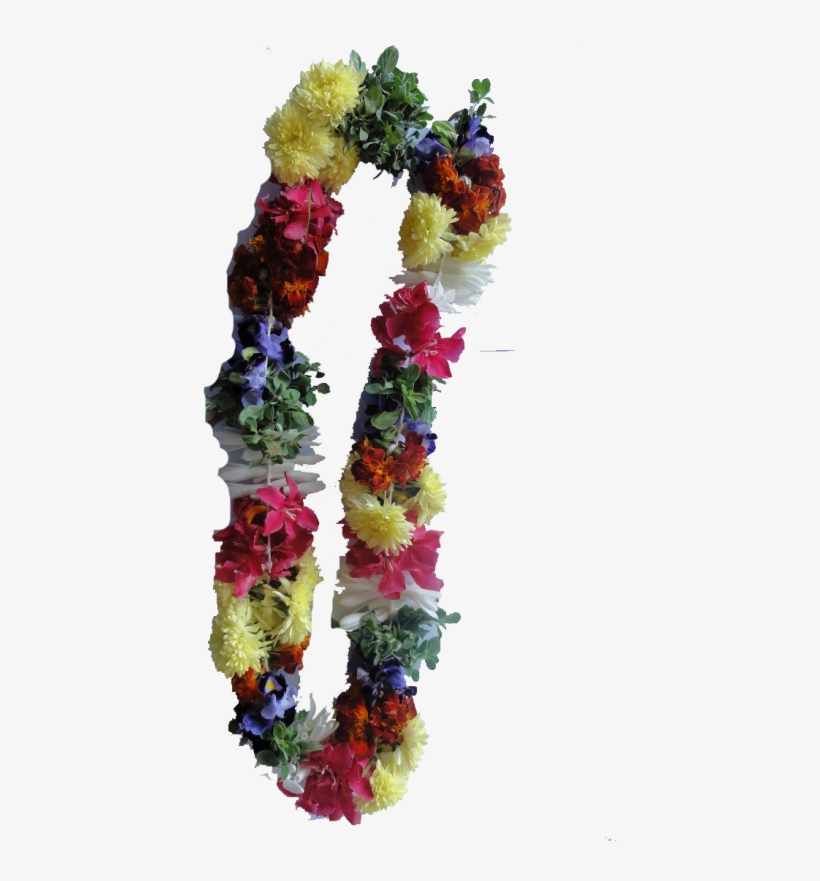 String St - Kathambam Flower - Free Transparent PNG Download - PNGkey