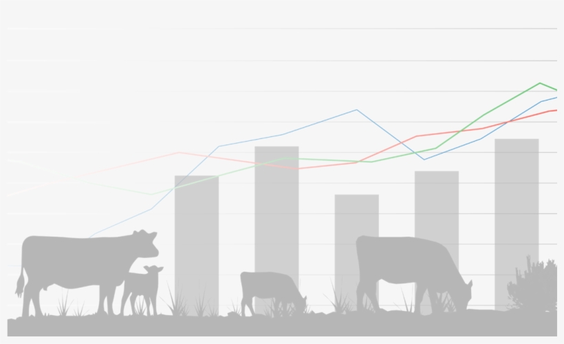 Calf - Free Transparent PNG Download - PNGkey