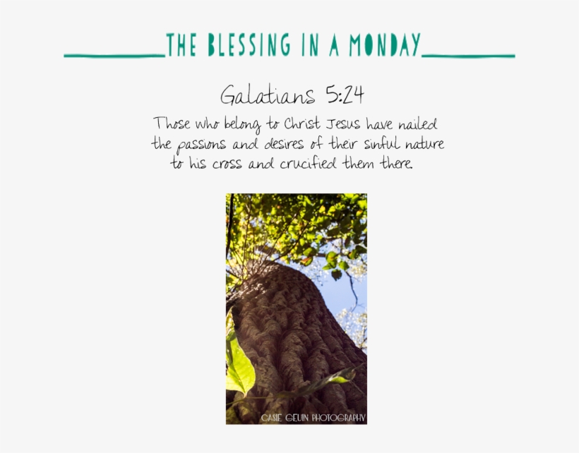 The Blessing In A Monday - Religious Text - Free Transparent PNG ...