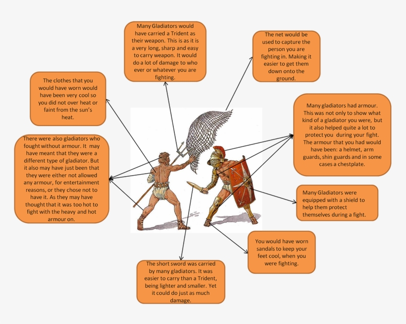 The Different Types Of Gladiators Andabata The Andabata - Différent ...