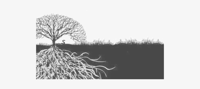 Tree Of Knowledge With Snake - Brief History Of Psychology - Free ...