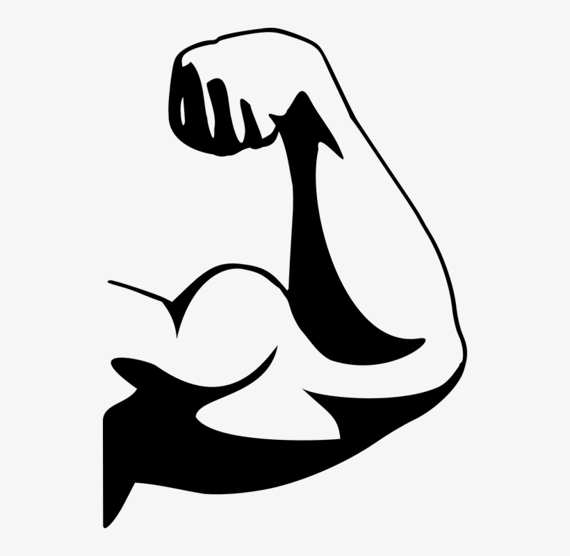Muscle Png Images Free Download - Biceps Png - Free Transparent PNG ...