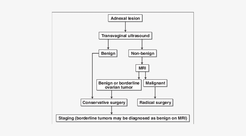 Maging Algorithm For Diagnosis Of Borderline Tumors - Science - Free ...