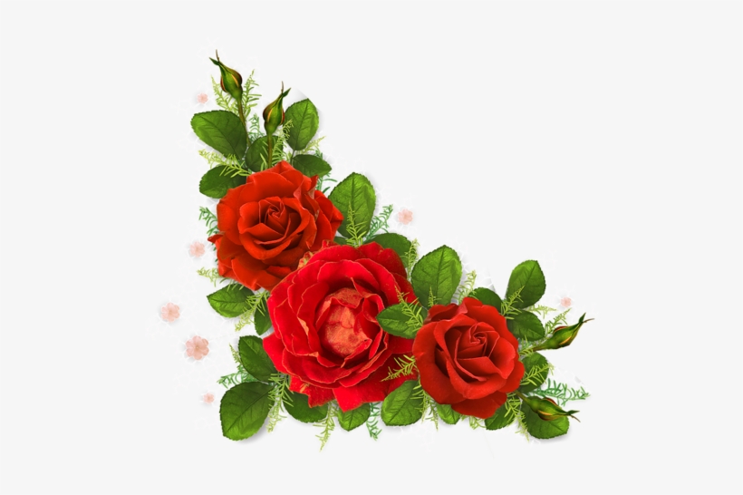 Visit - Corner Border Red Roses - Free Transparent PNG Download - PNGkey