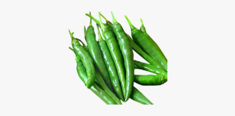 Green Chilli - Vegetable Combo Pack-5 Types Vegetable Seeds, Sold ...