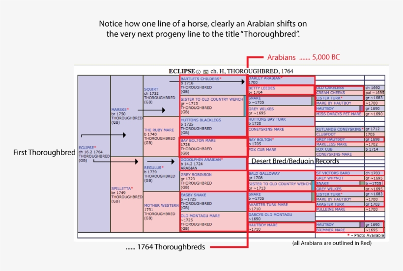 Eclipse - Document - Free Transparent PNG Download - PNGkey