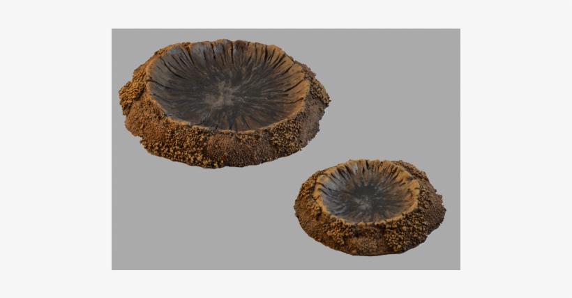 Transparent Crater - Free Transparent PNG Download - PNGkey