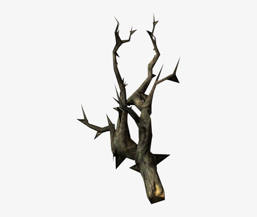 Canis Root - Skyrim Canis Root - Free Transparent PNG Download - PNGkey