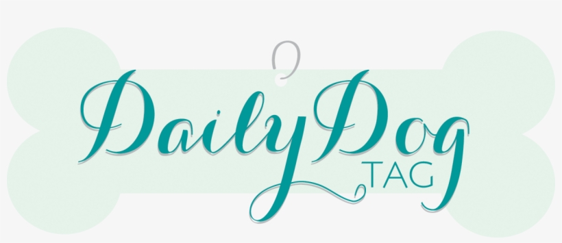 Daily Dog Tag - Jpeg - Free Transparent PNG Download - PNGkey
