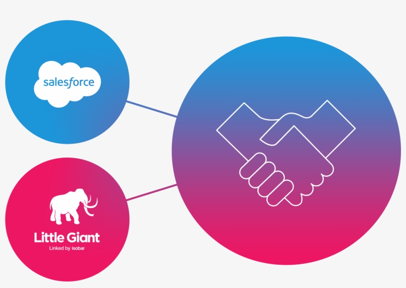 Circle - Free Transparent PNG Download - PNGkey