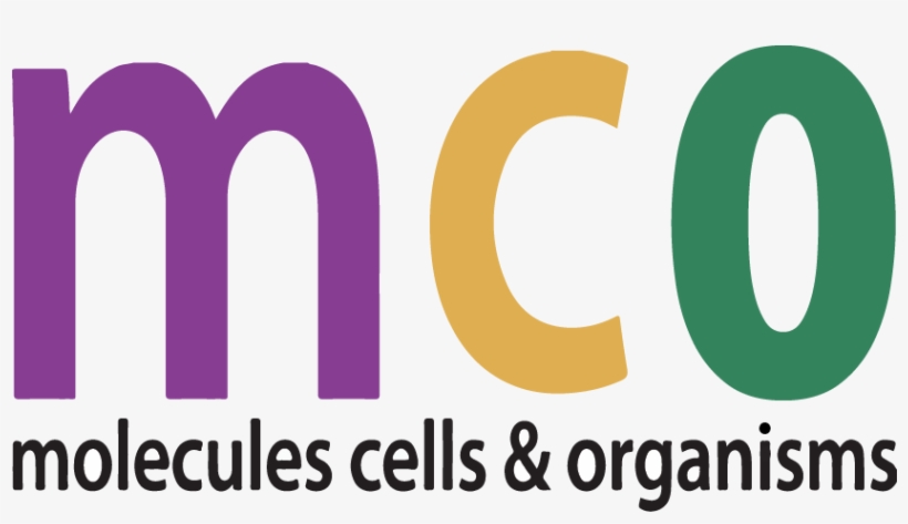 Harvard Mco - Free Transparent PNG Download - PNGkey