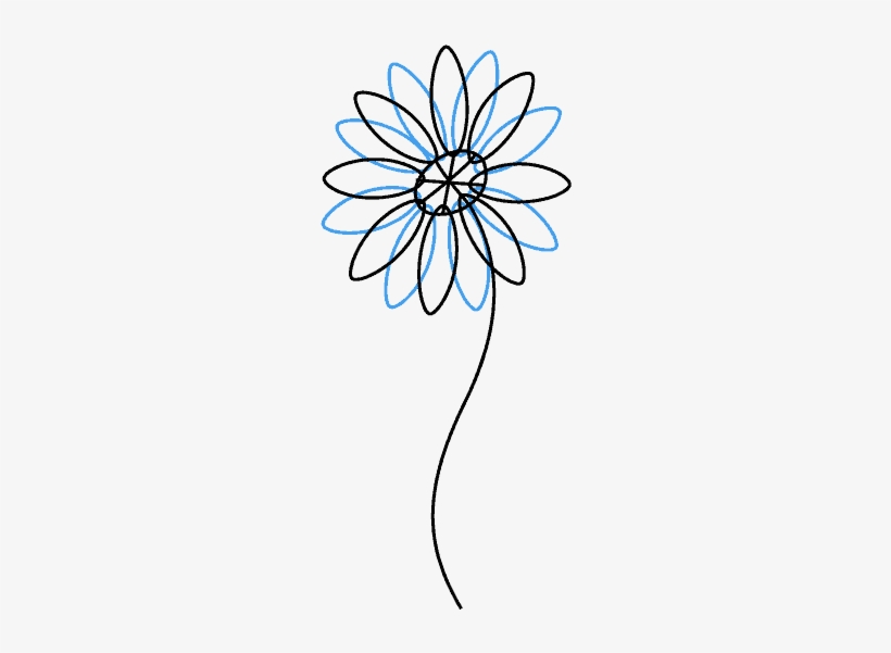 How To Draw A Daisy - African Daisy - Free Transparent PNG Download ...