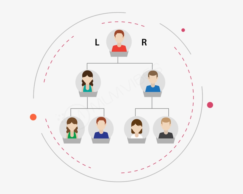 What Is Mlm Binary Plan - Matching Bonus In Matrix Mlm Plan - Free ...
